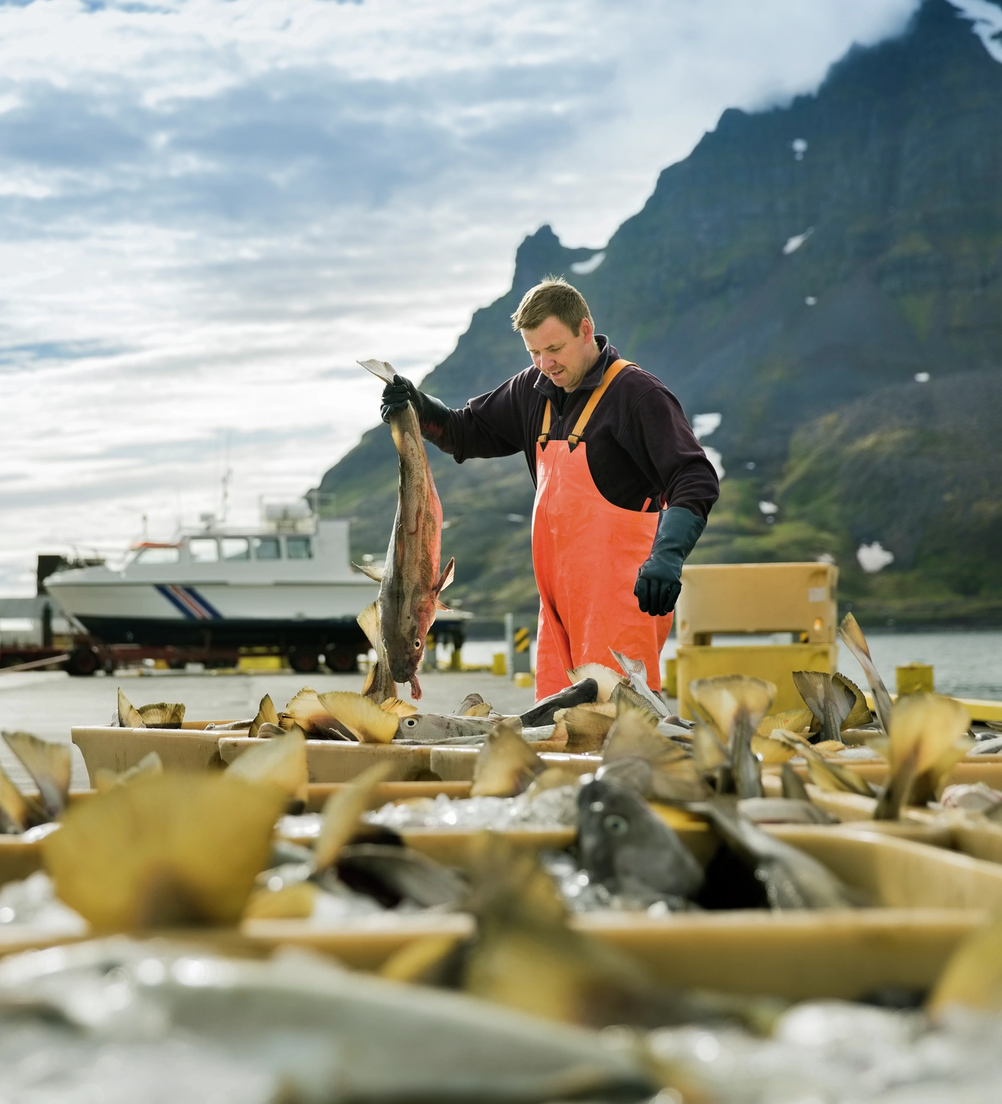 Fish & Seafood Logistics Solutions | DP World