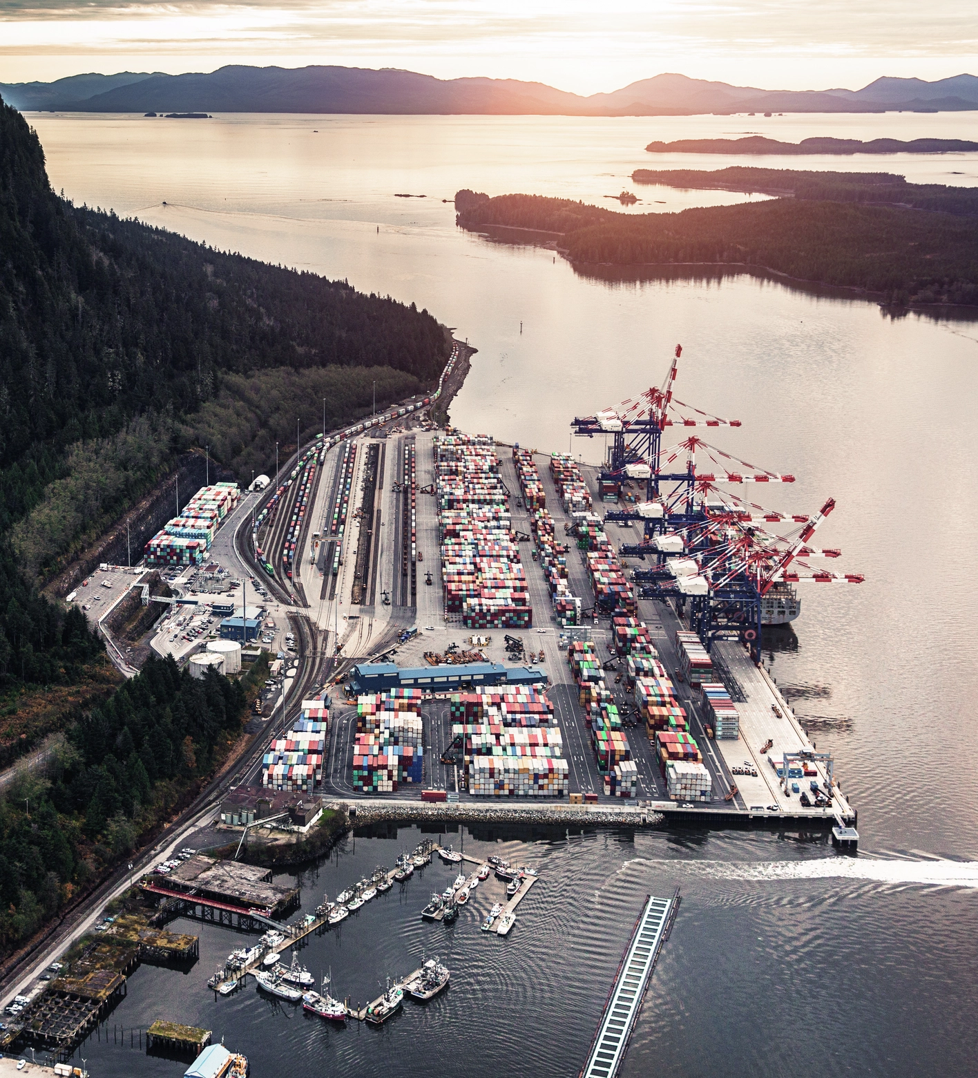 Port Network Solutions and Services | DP World